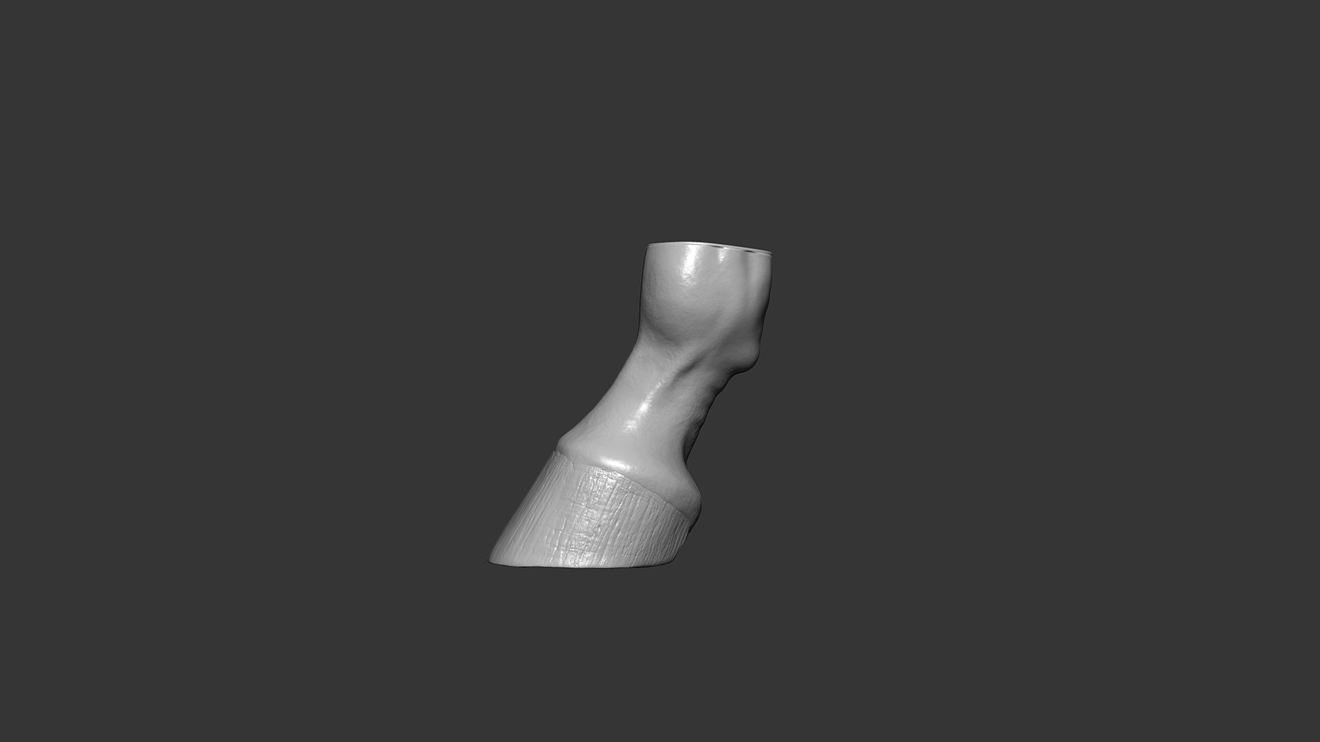 Horse Hoof Highpoly Sculpt 3D Model - TurboSquid 1808035