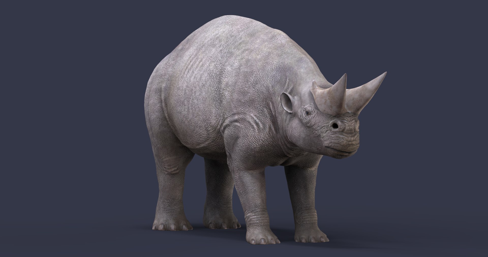 Arsinoitherium 3D Model - TurboSquid 1481039