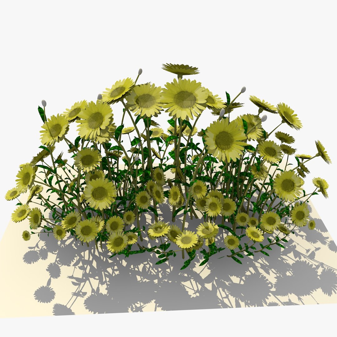 3dsmax white daisy flowers