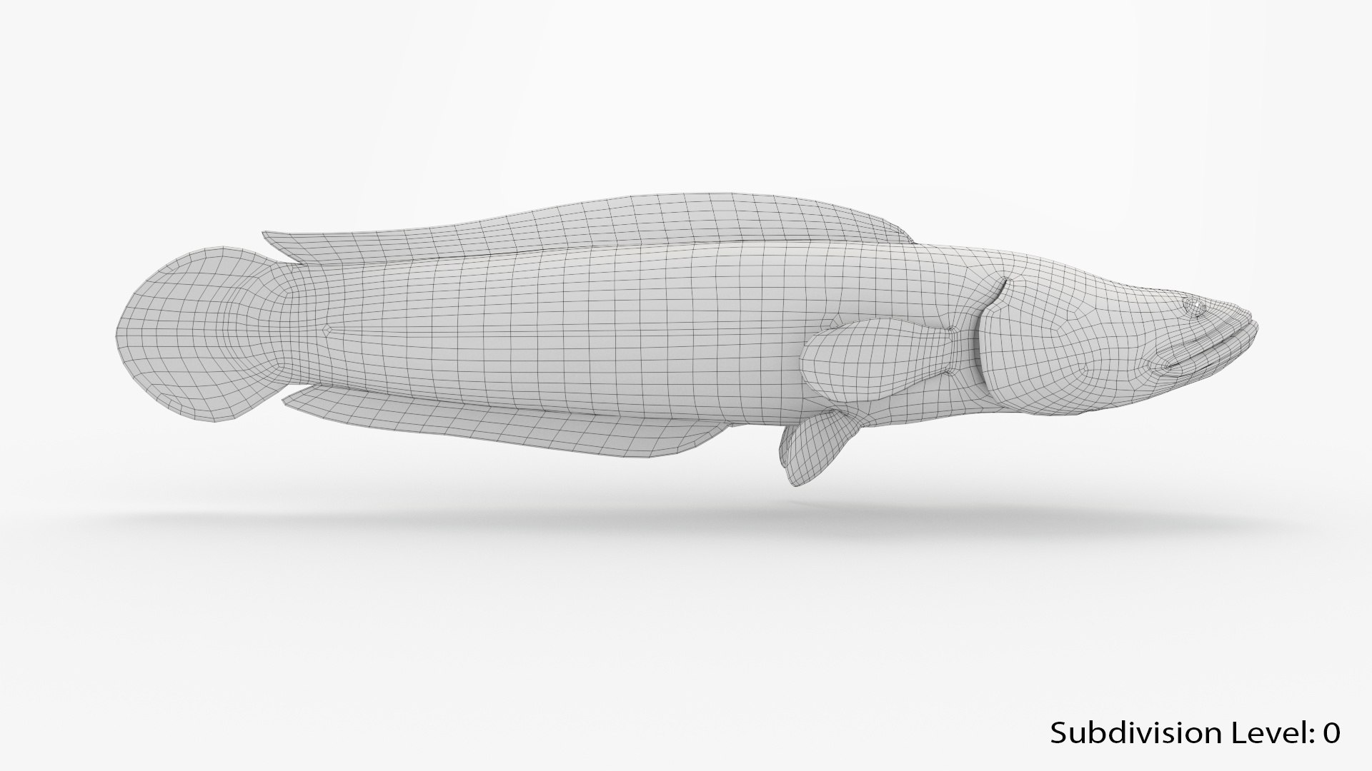 Snakehead Fish Animated Model - TurboSquid 1815986