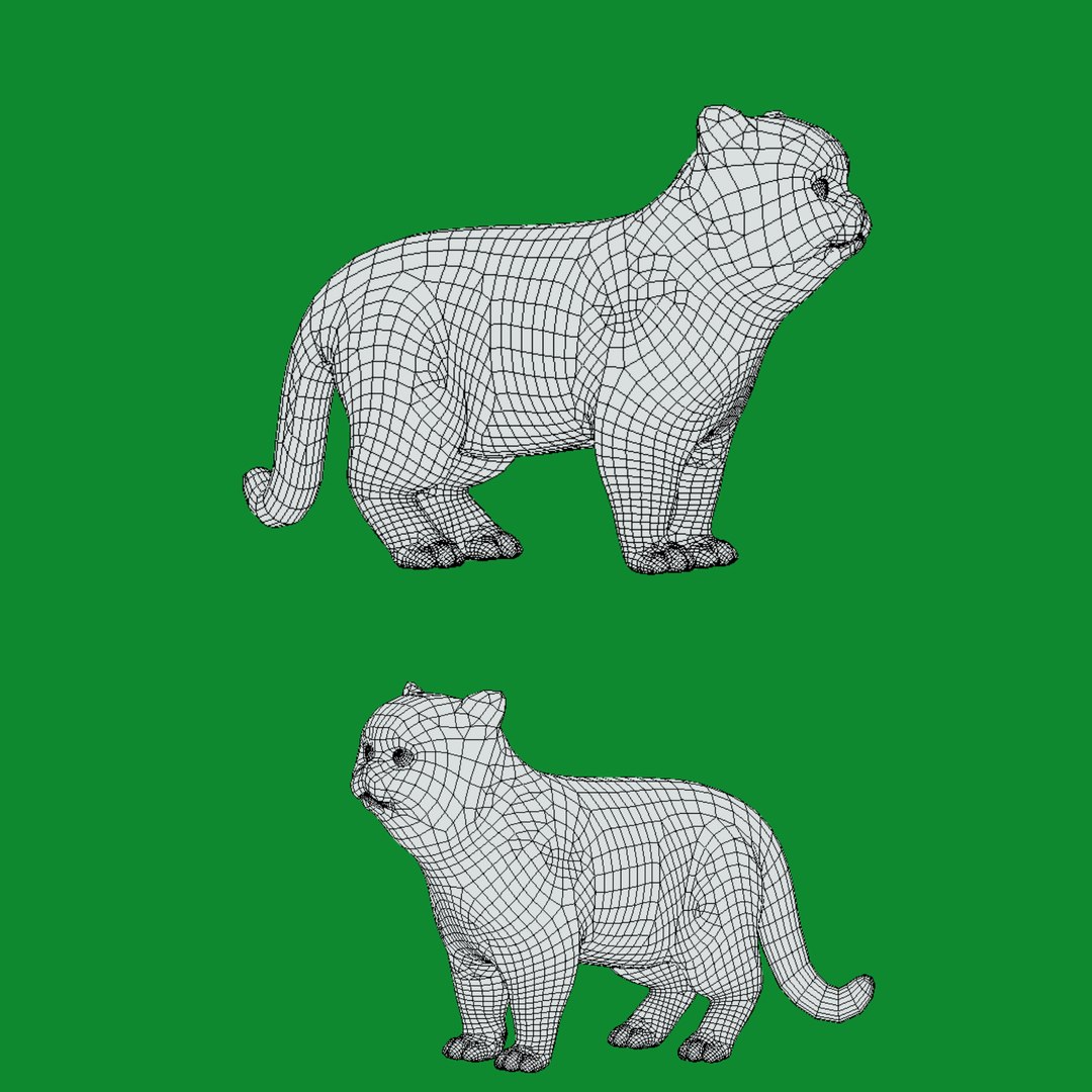 3D Exotic ShortHair Cat Model - TurboSquid 2288383