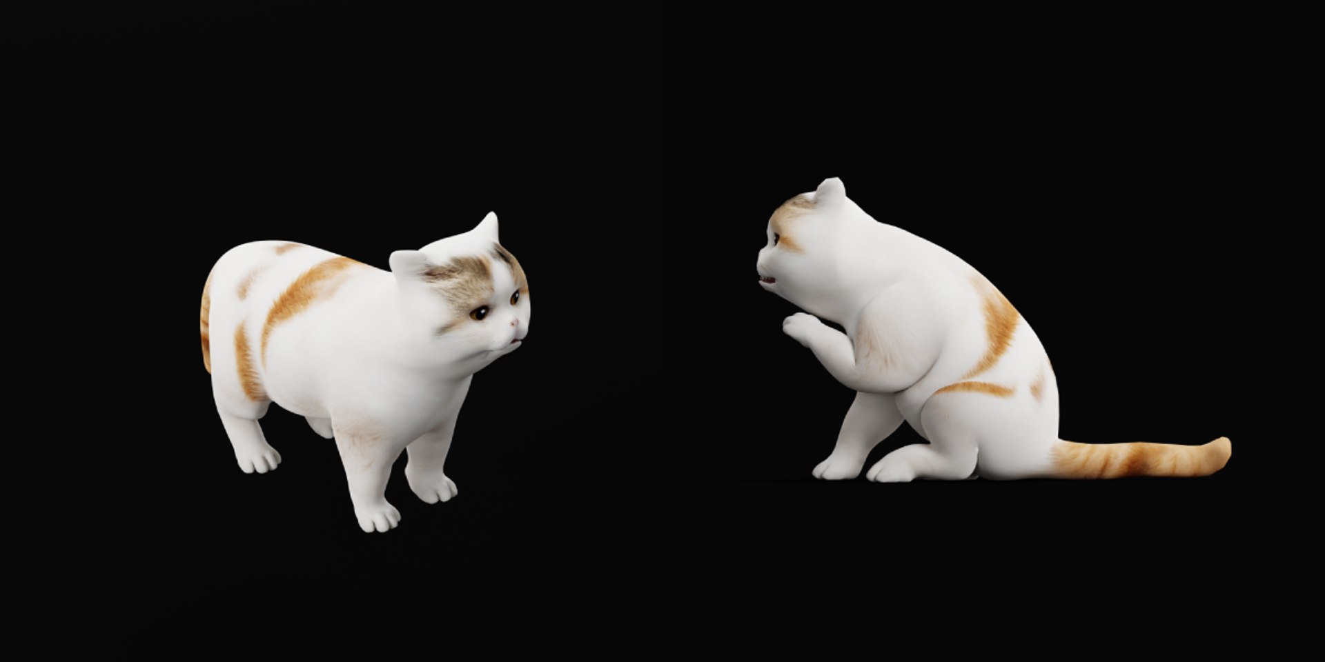 3D Exotic ShortHair Cat Model - TurboSquid 2288383