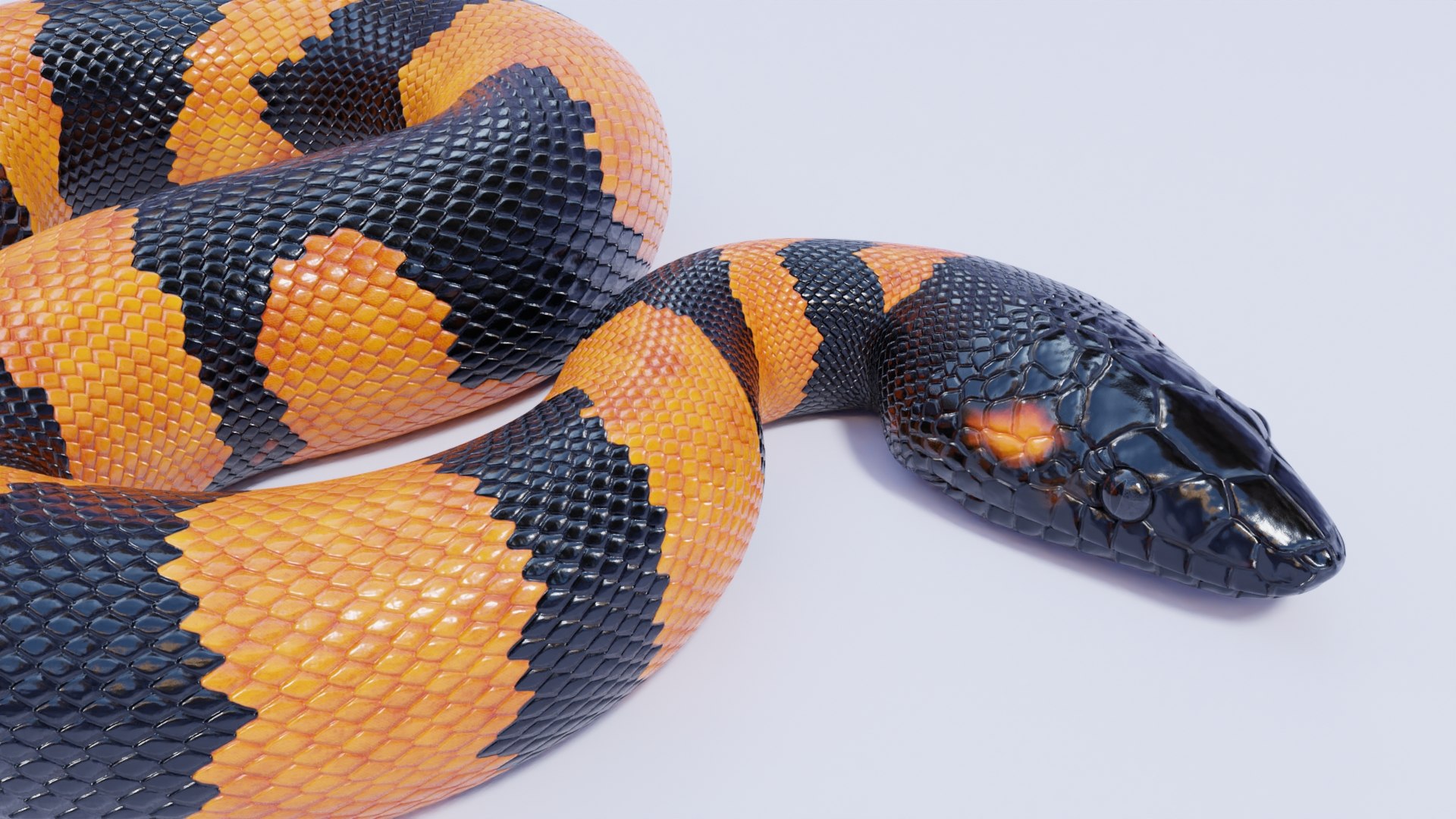 3D Animated Bismarck Ringed Python - TurboSquid 1950247