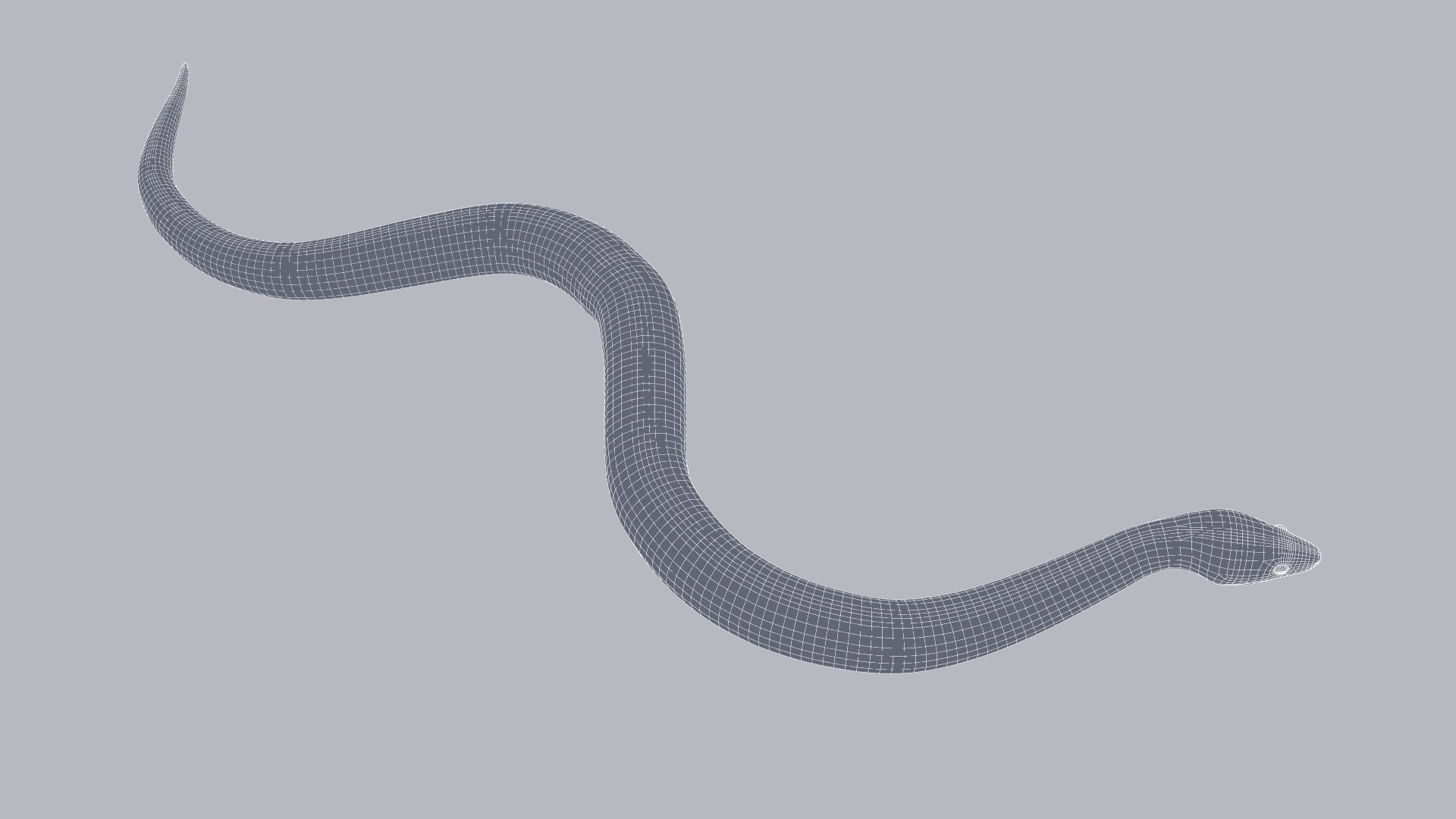 3D Animated Bismarck Ringed Python - TurboSquid 1950247