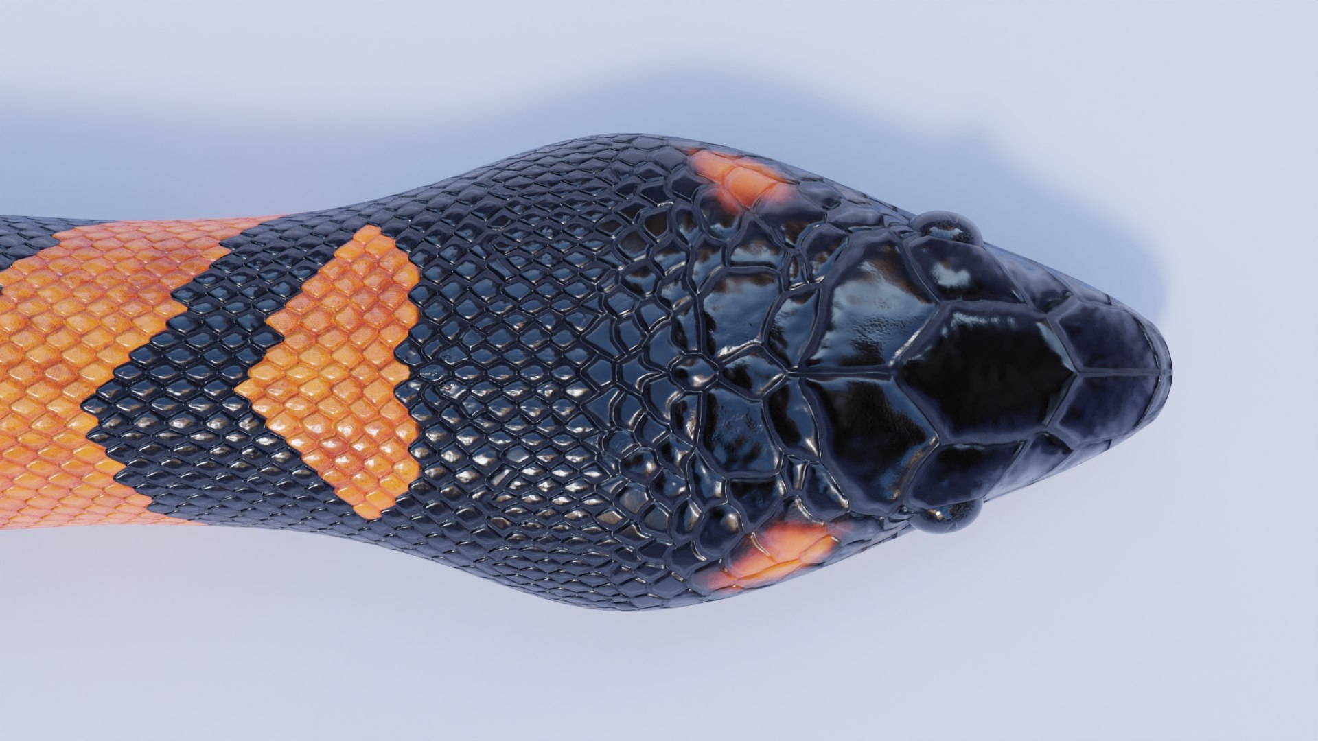 3D Animated Bismarck Ringed Python - TurboSquid 1950247