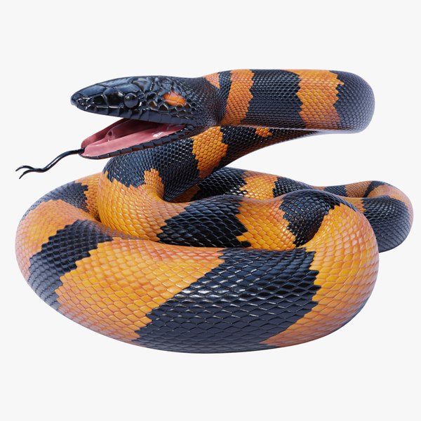 3D Animated Bismarck Ringed Python - TurboSquid 1950247