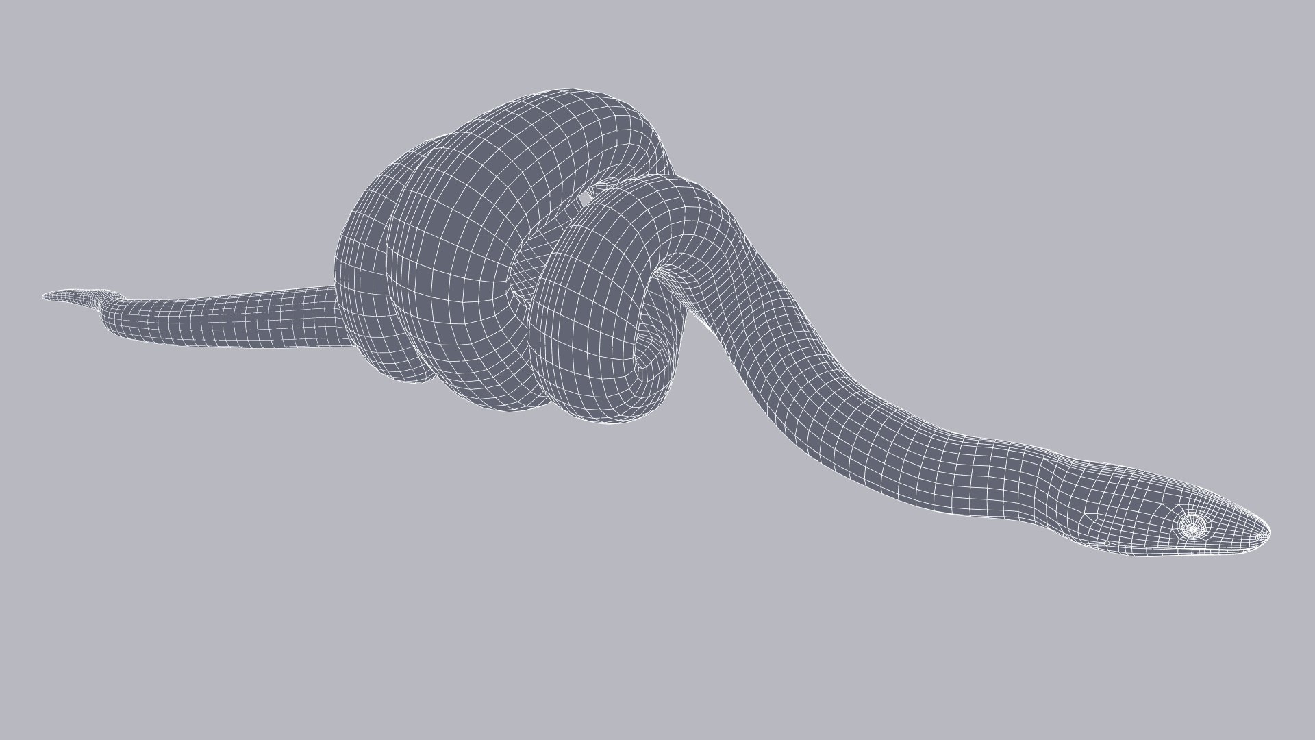 3D Animated Bismarck Ringed Python - TurboSquid 1950247