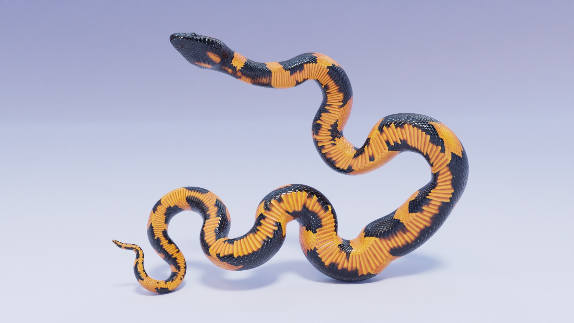 3D Animated Bismarck Ringed Python - TurboSquid 1950247