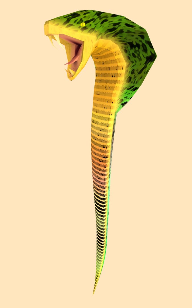 3D Snake Low Poly - TurboSquid 2099091
