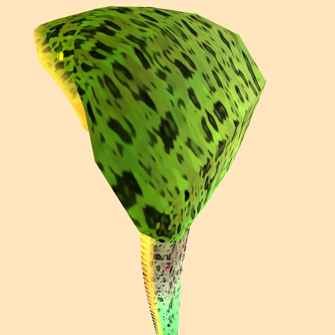 3D Snake Low Poly - TurboSquid 2099091