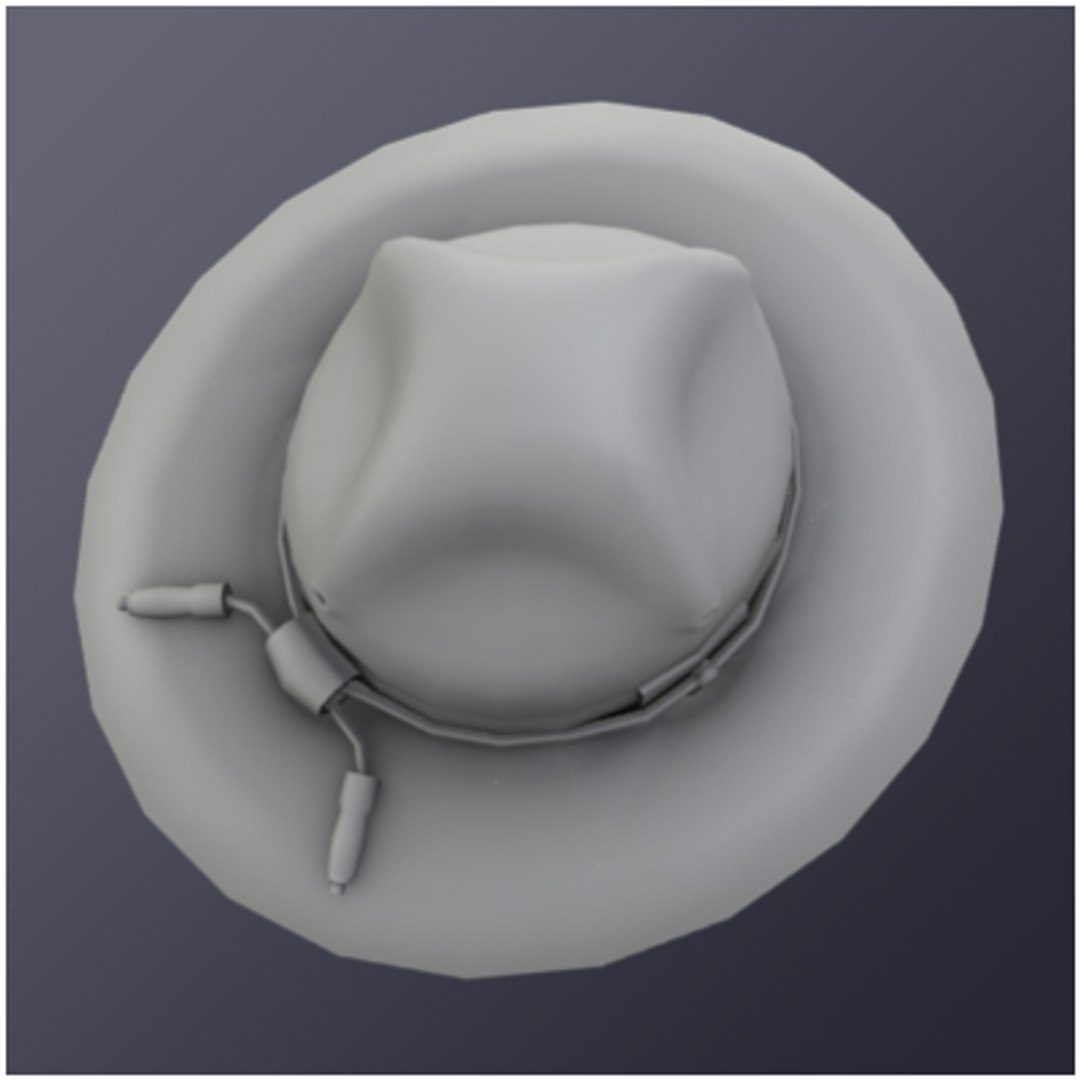 3ds Max Campaign Hat