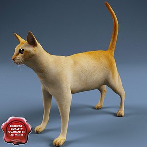 cat modelled 3d 3ds