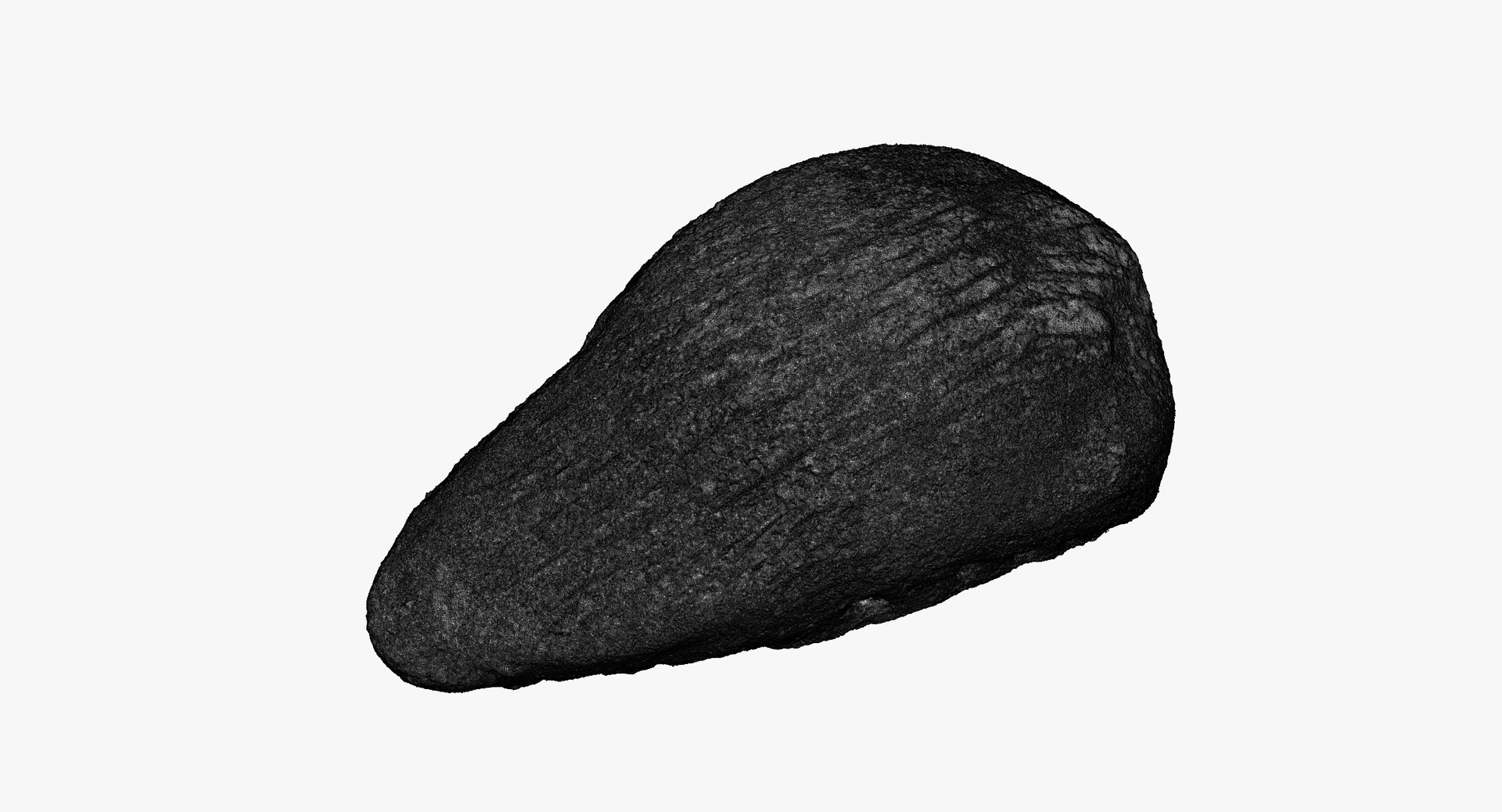 Domestic Cat Patella Kneecap Model - TurboSquid 1576805