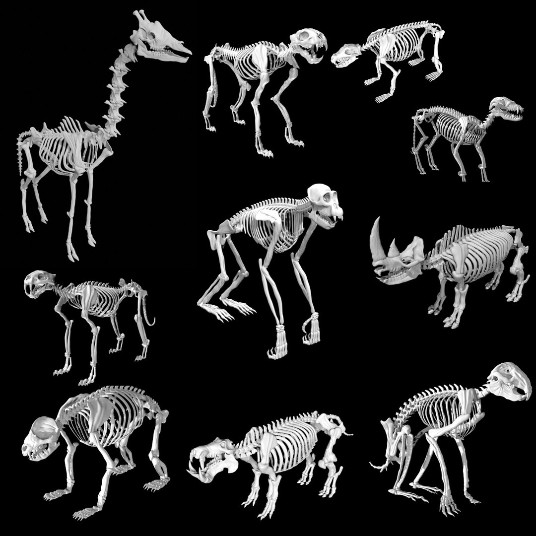 3D Jungle Animal Collection model - TurboSquid 1966275