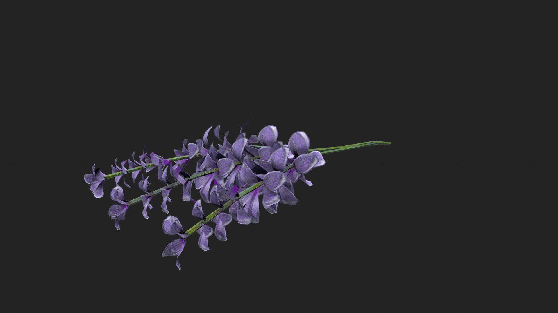 3D Medieval Lavender Model - TurboSquid 2322775