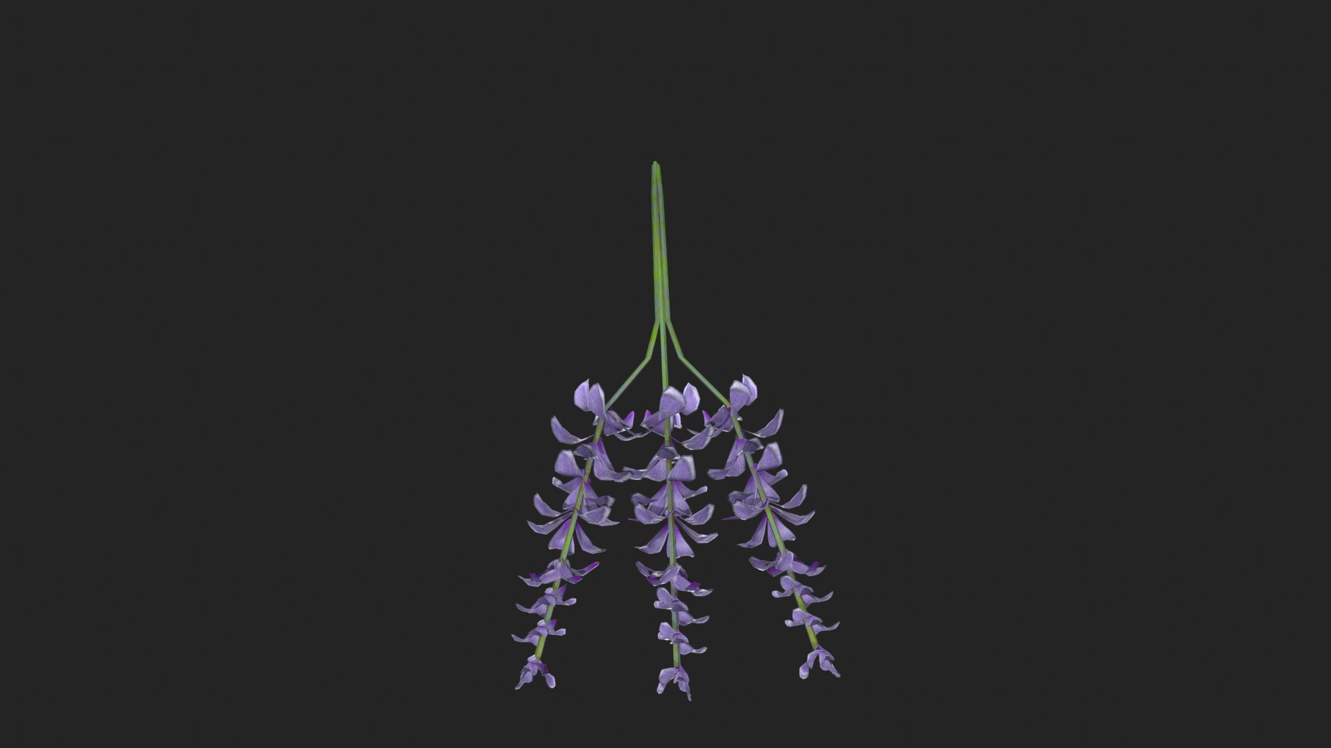 3D Medieval Lavender Model - TurboSquid 2322775