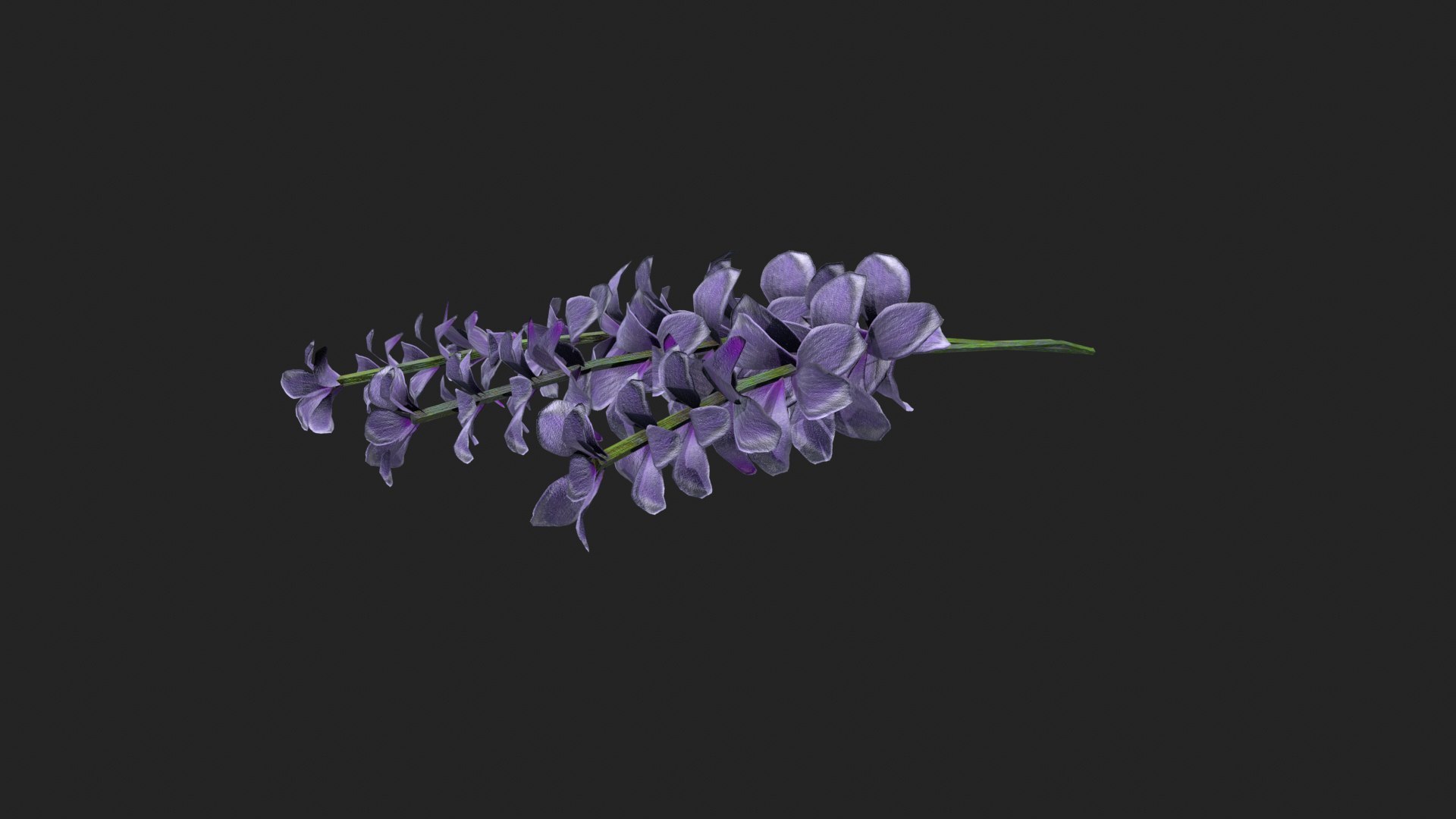 3D Medieval Lavender Model - TurboSquid 2322775