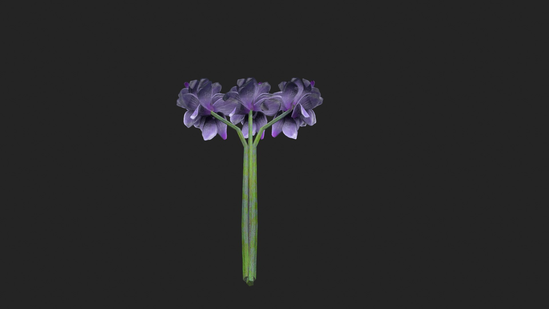 3D Medieval Lavender Model - TurboSquid 2322775