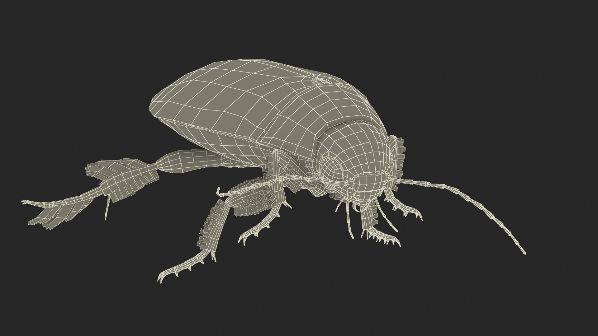 3D Aquatic Beetle Brown Realistic Floating - TurboSquid 2248782