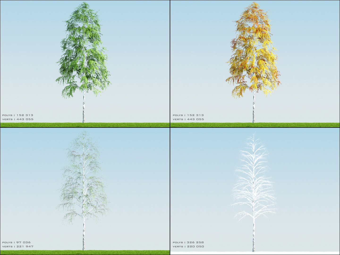 3d 4 season tree birch003 model