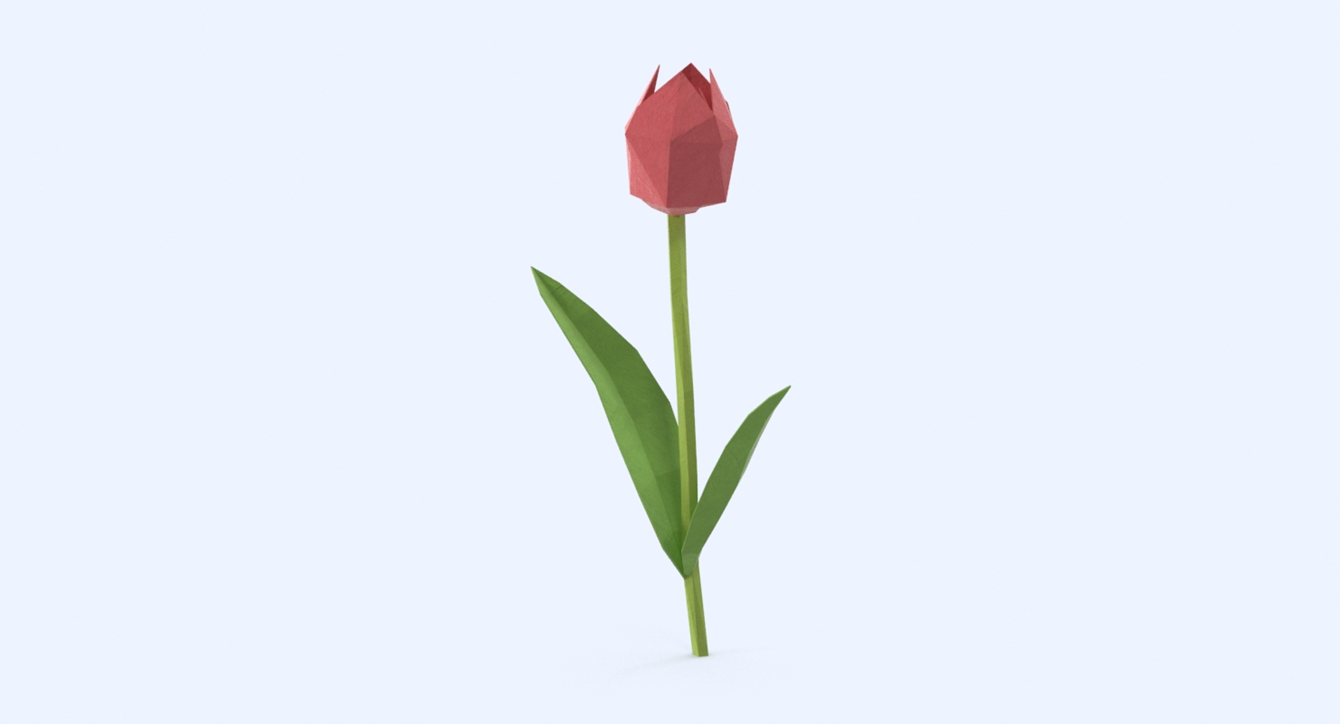 Tulip Design 3d Max