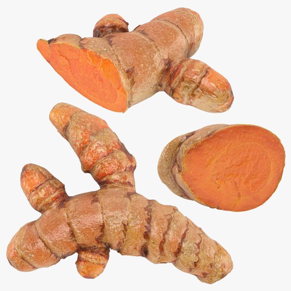 Turmeric 3D Models for Download | TurboSquid