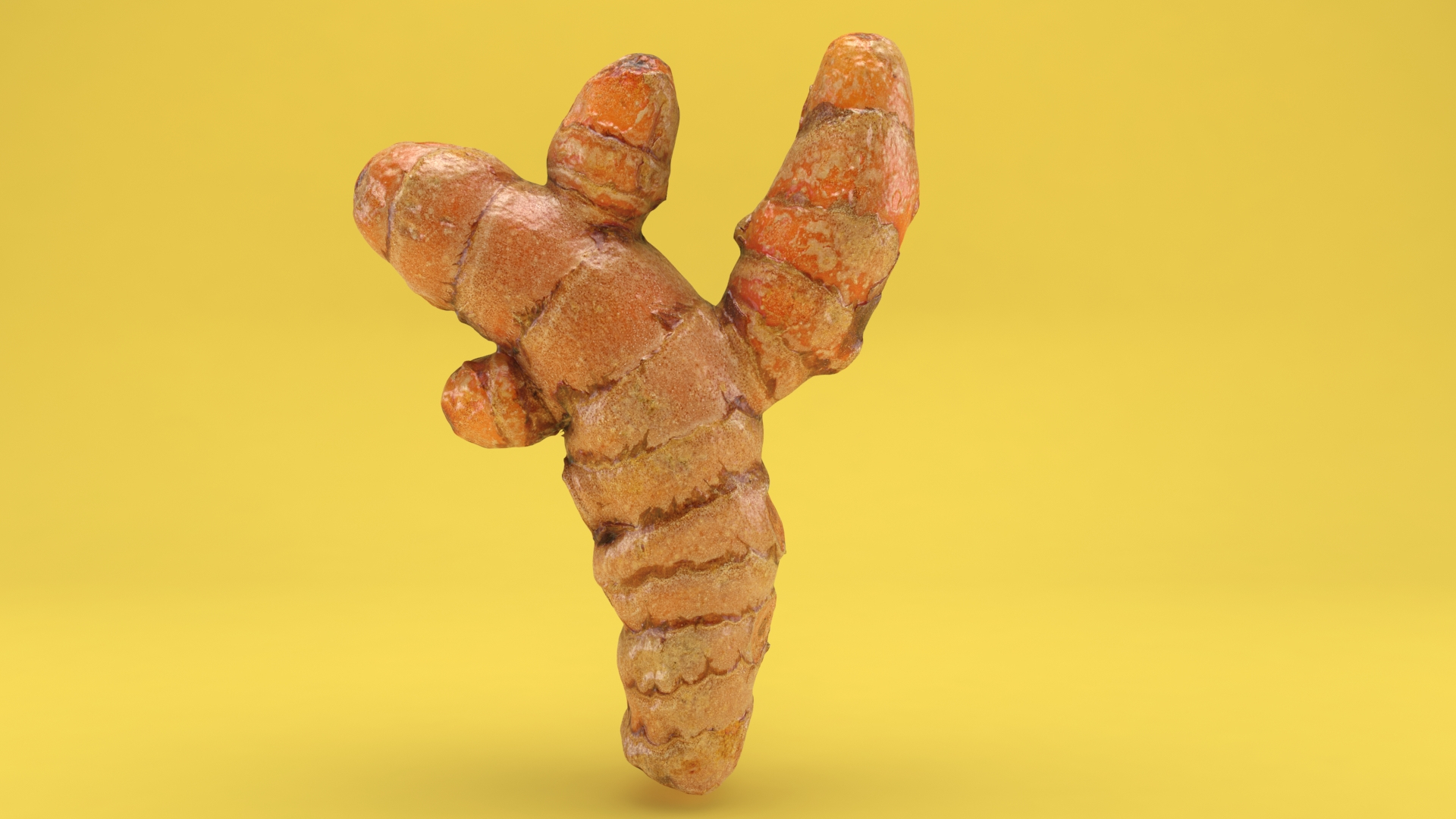 Turmeric v1 Set model - TurboSquid 1866216