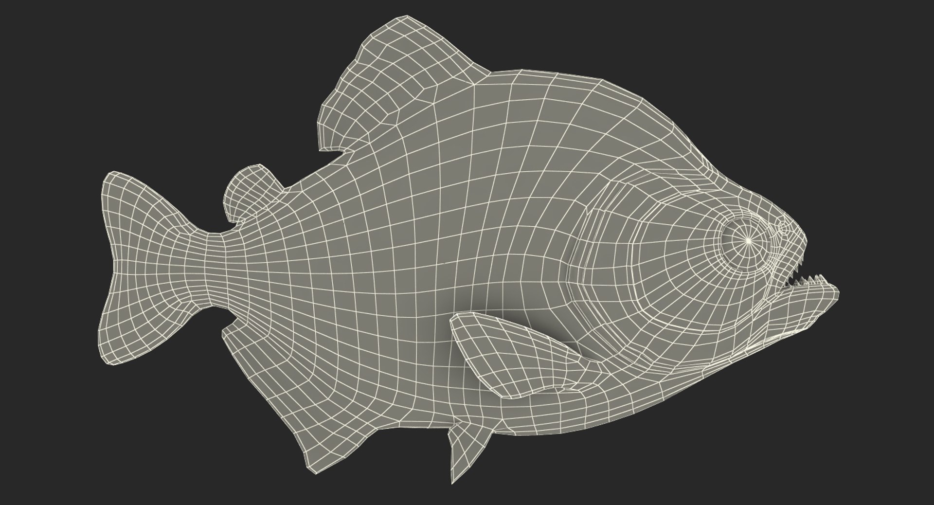 3D Danger Fishes - TurboSquid 1424620