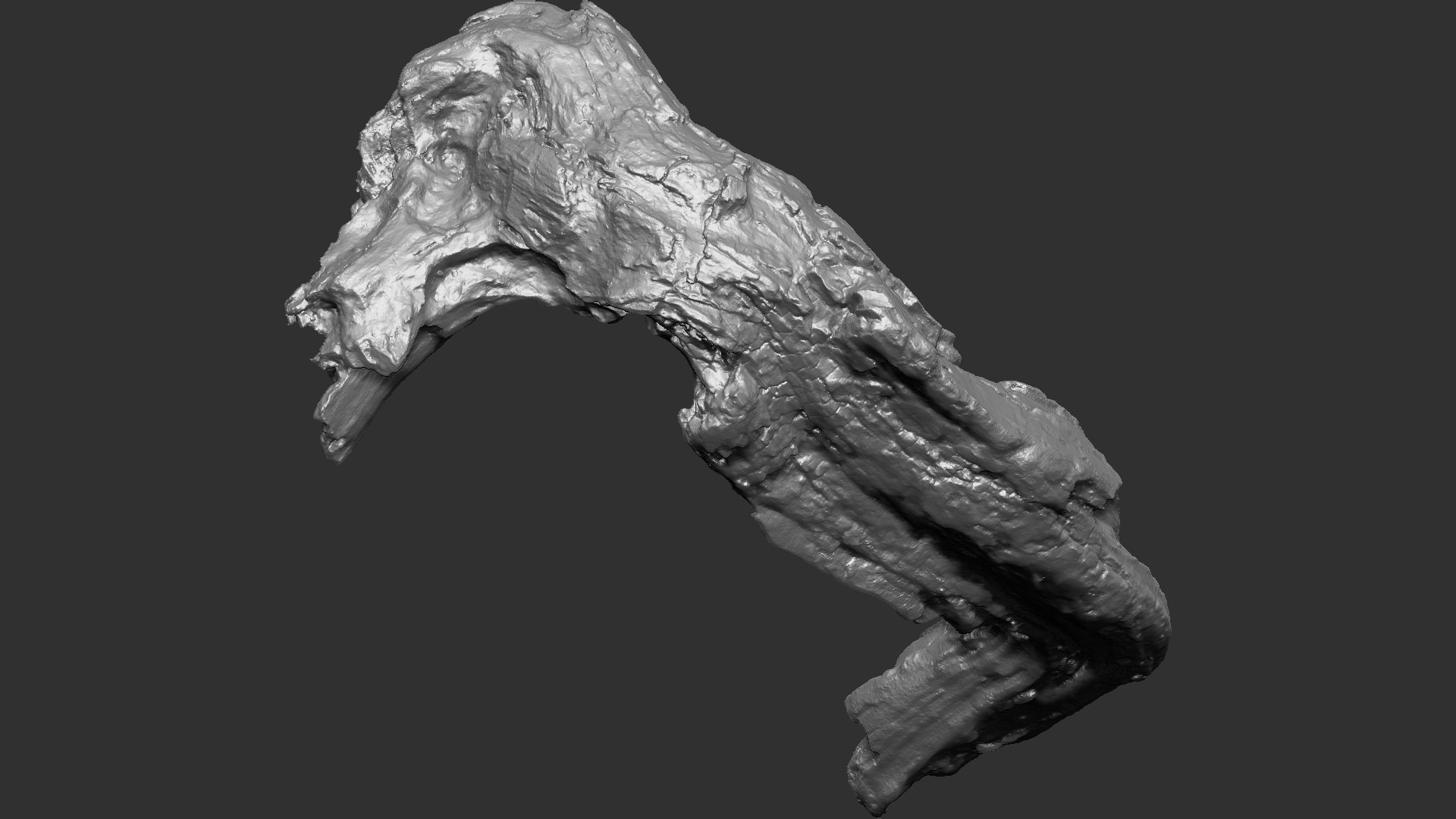 3D 3d Scan Of Tree Trunk In Highpoly - TurboSquid 2152044