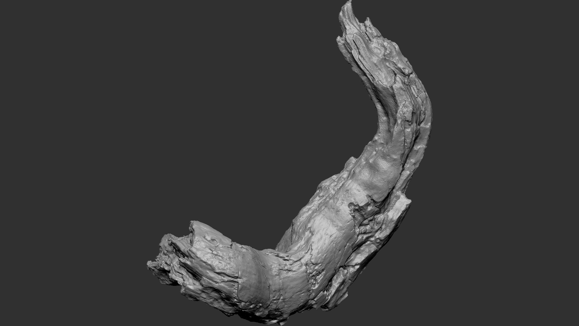3D 3d Scan Of Tree Trunk In Highpoly - TurboSquid 2152044