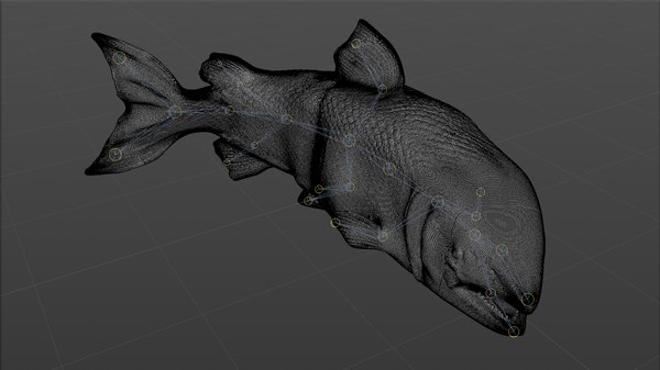 3D salmon rigged l741 animate model - TurboSquid 1567034