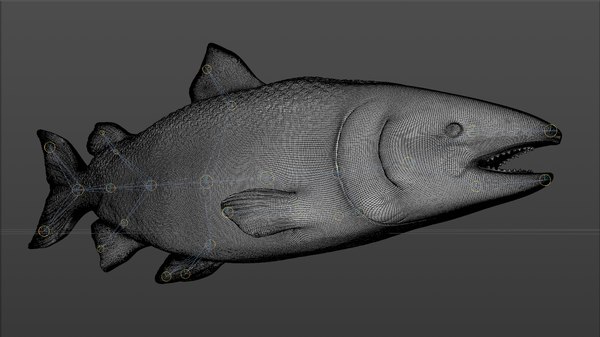 3D salmon rigged l741 animate model - TurboSquid 1567034
