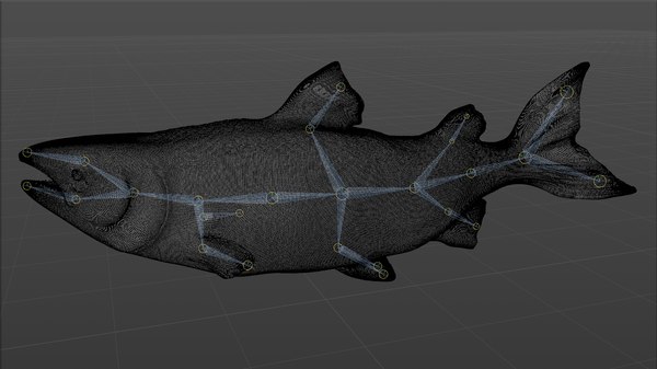 3D salmon rigged l741 animate model - TurboSquid 1567034