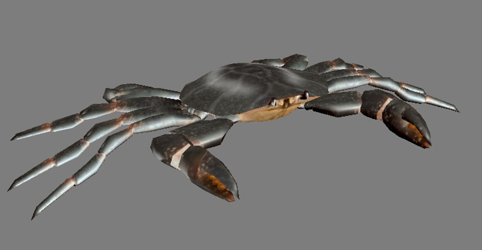 crab - 3d model