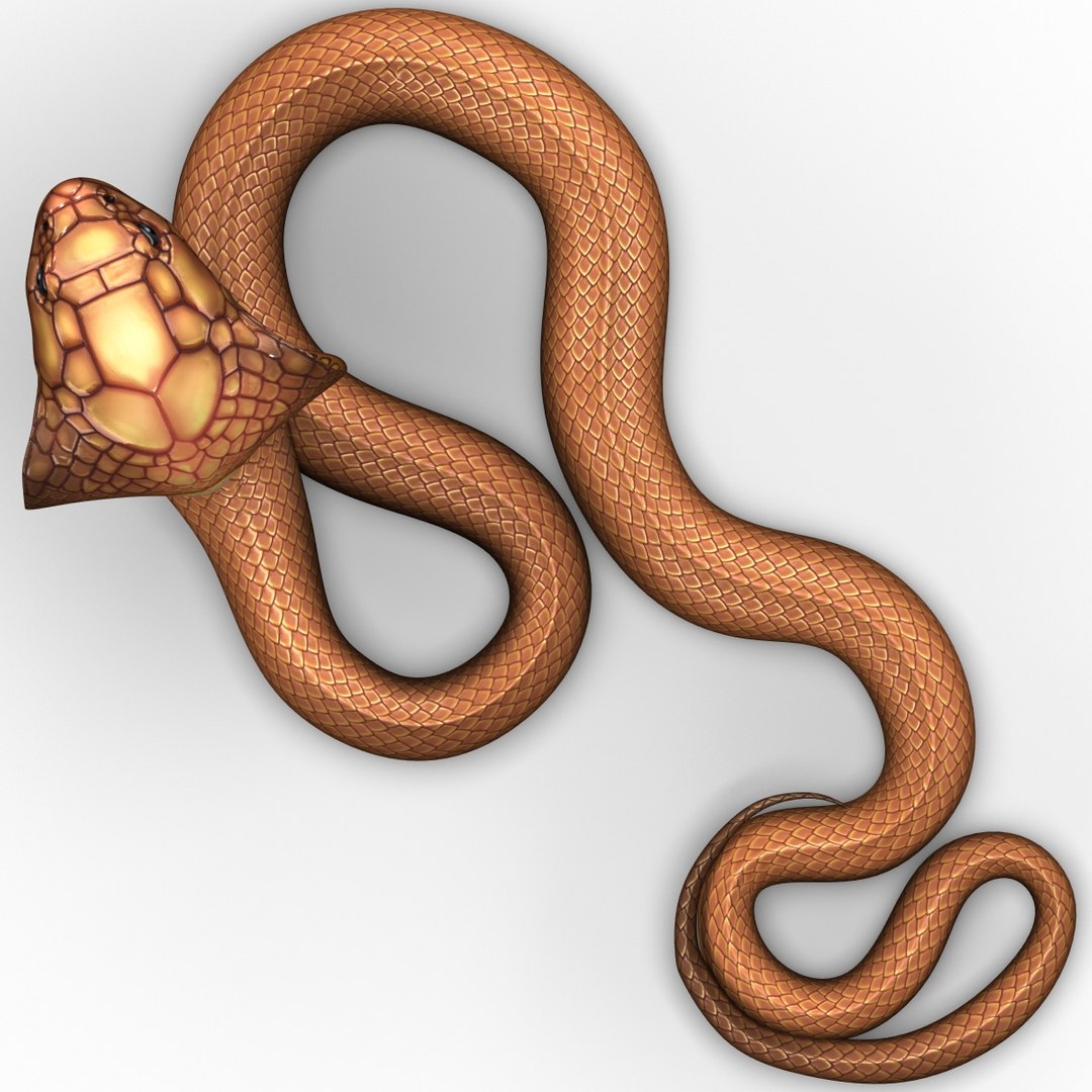c4d snake cobra pose 6
