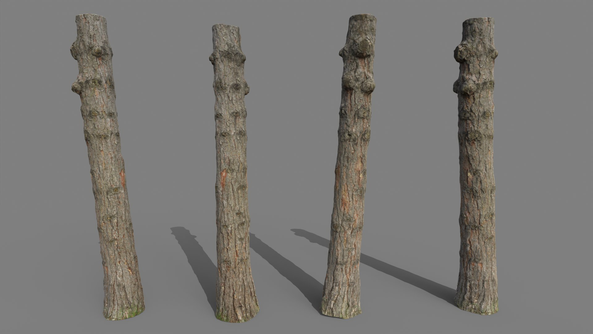 Pine Trunk 3d Scan 3D Model - TurboSquid 2209477