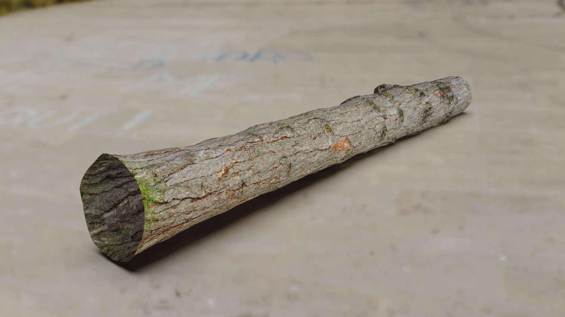 Pine Trunk 3d Scan 3D Model - TurboSquid 2209477