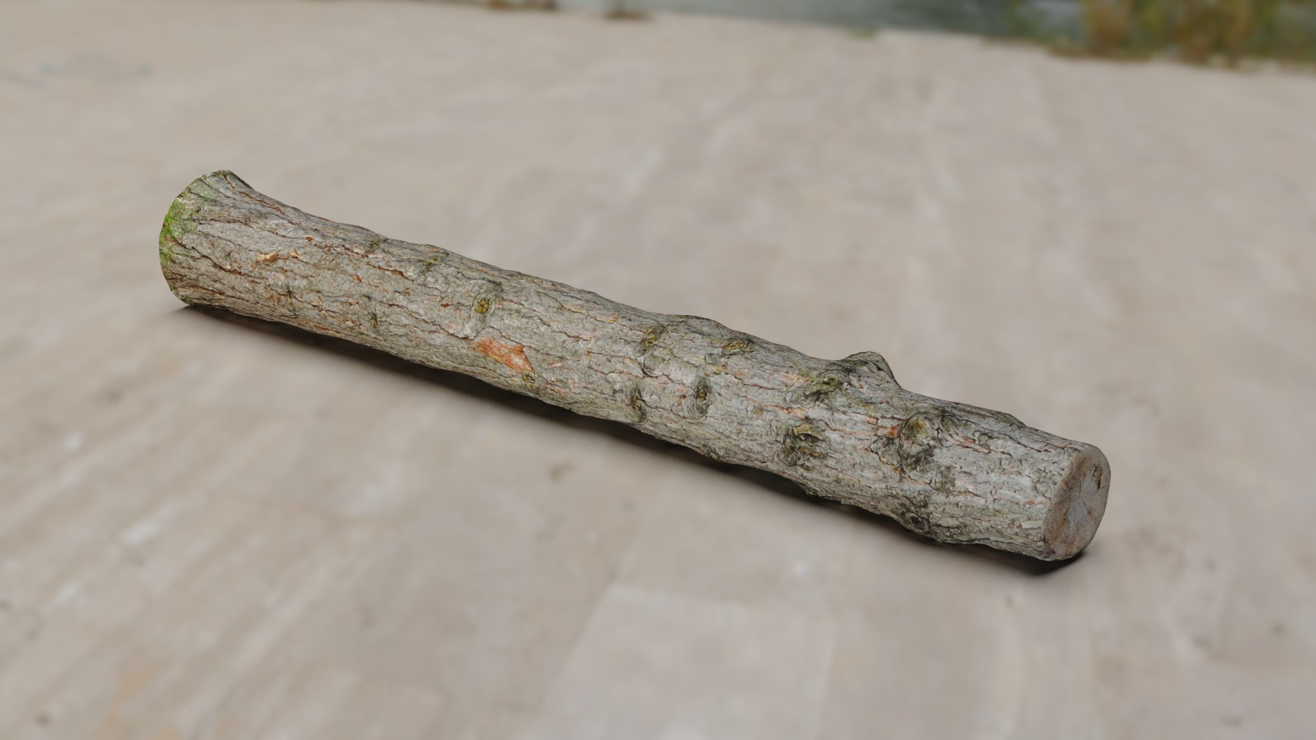 Pine Trunk 3d Scan 3D Model - TurboSquid 2209477