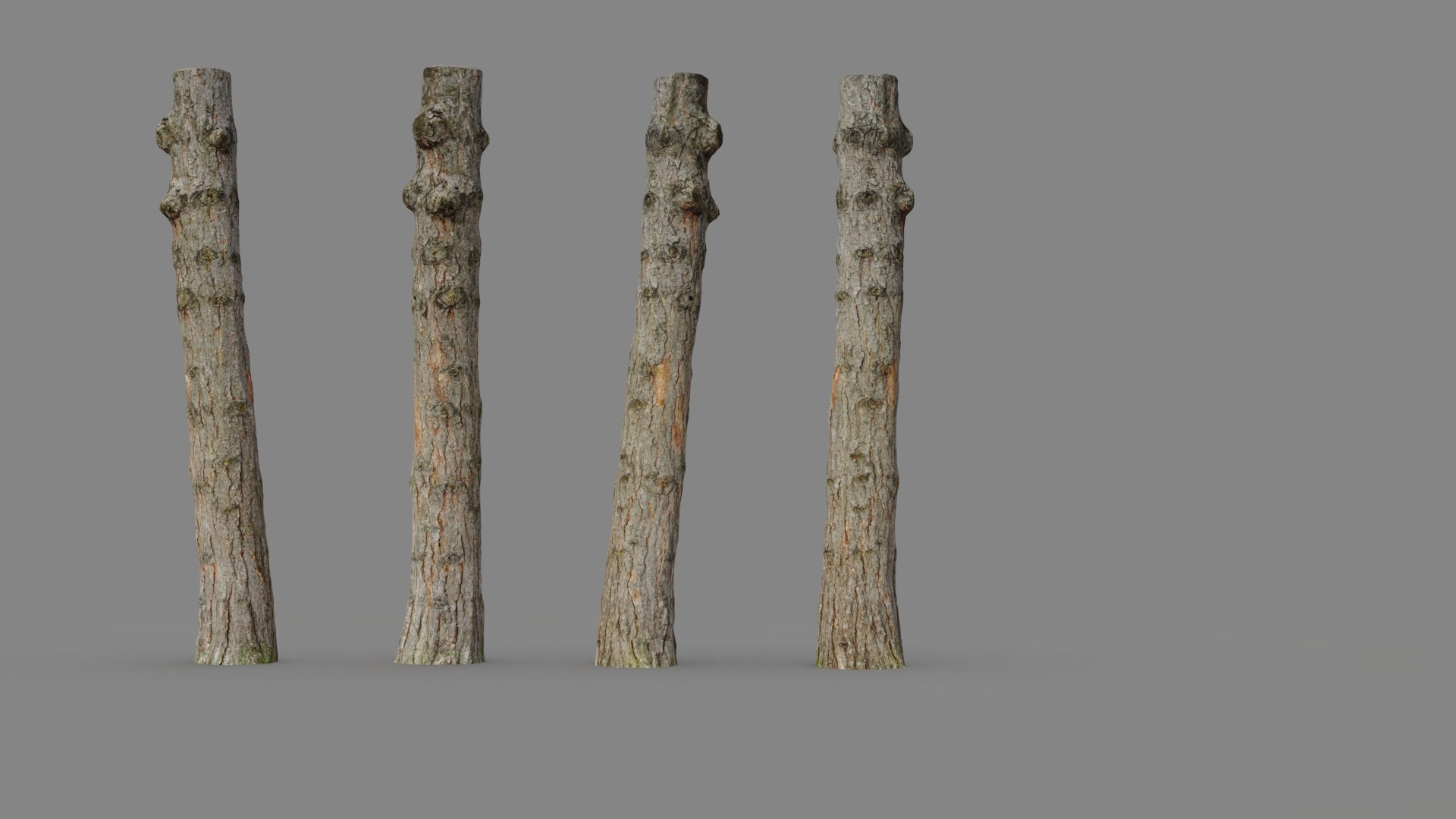 Pine Trunk 3d Scan 3D Model - TurboSquid 2209477