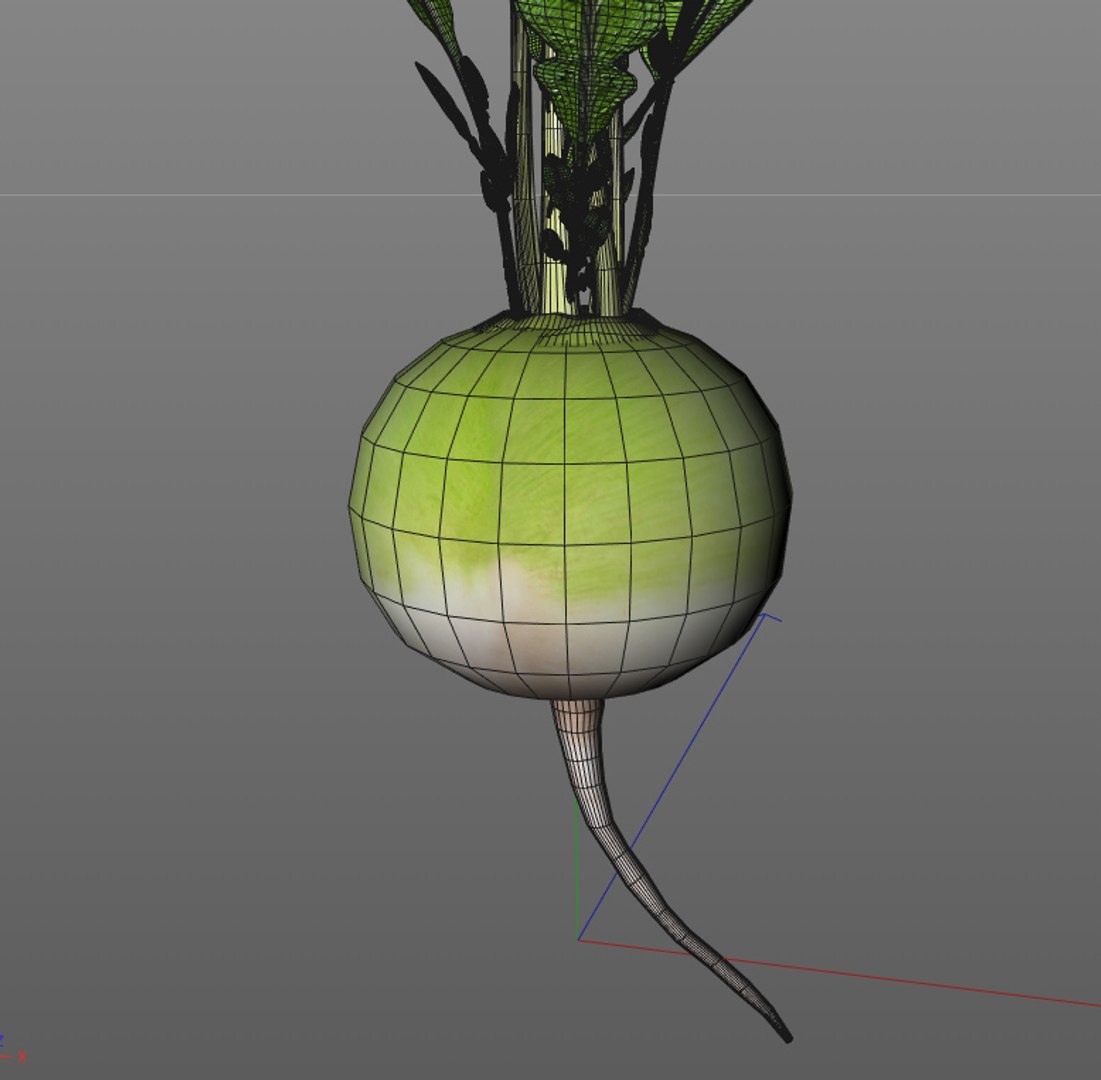 Radish 3D Model - TurboSquid 1544598