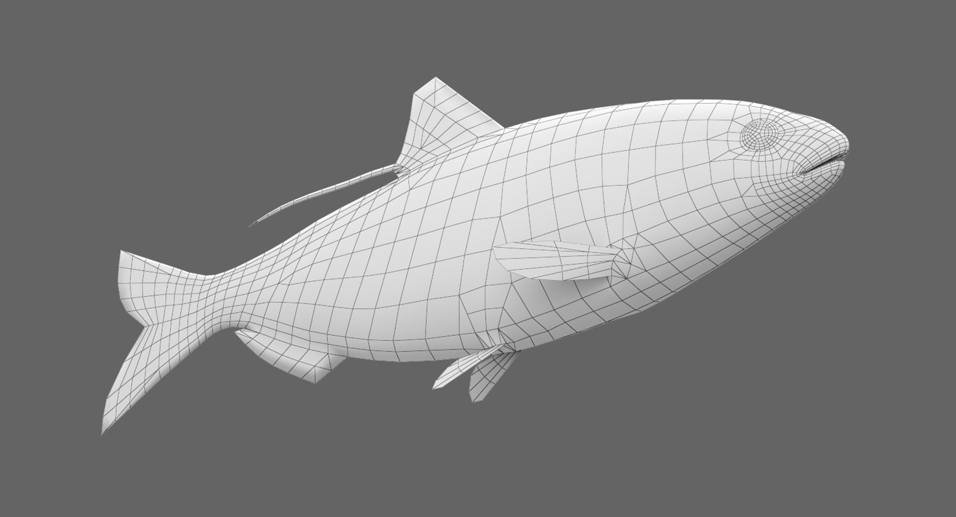 Gizzard Shad 3D Model - TurboSquid 1276147
