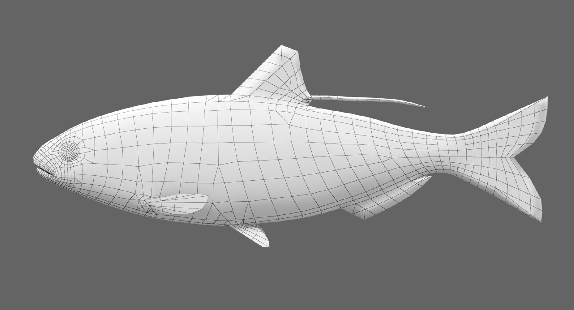 Gizzard Shad 3D Model - TurboSquid 1276147