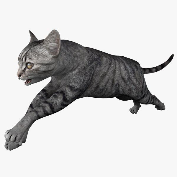 3d c4d cat 3 pose 2