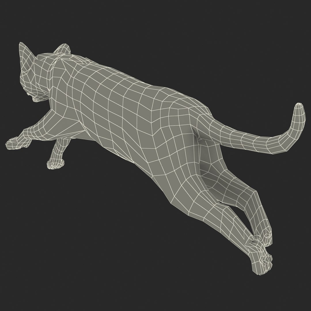 3d c4d cat 3 pose 2