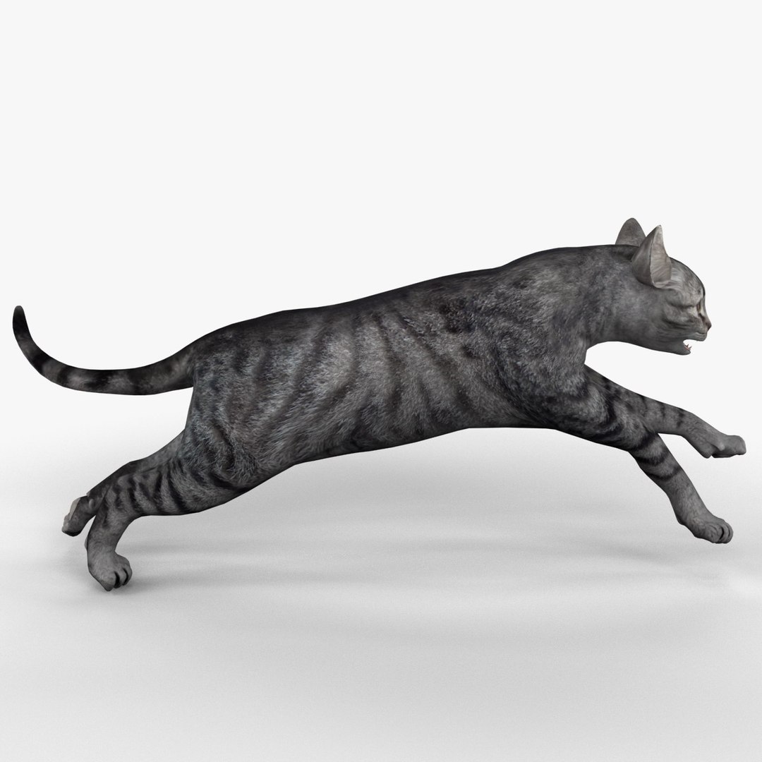 3d c4d cat 3 pose 2