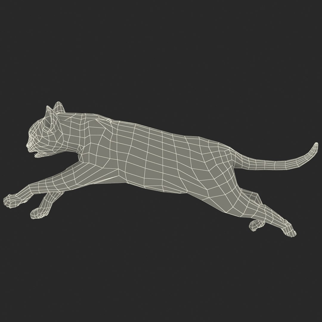 3d c4d cat 3 pose 2