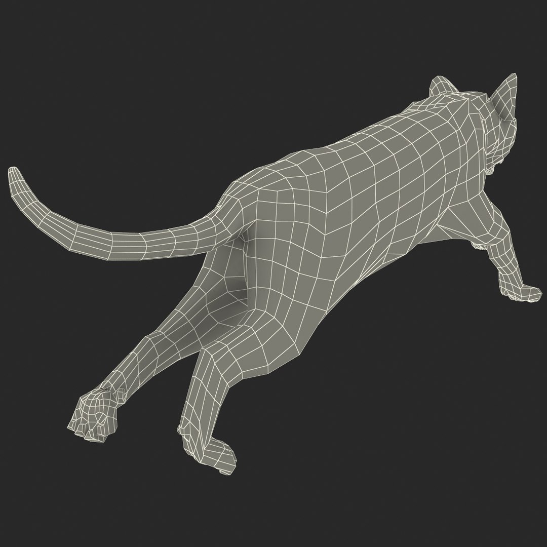 3d c4d cat 3 pose 2