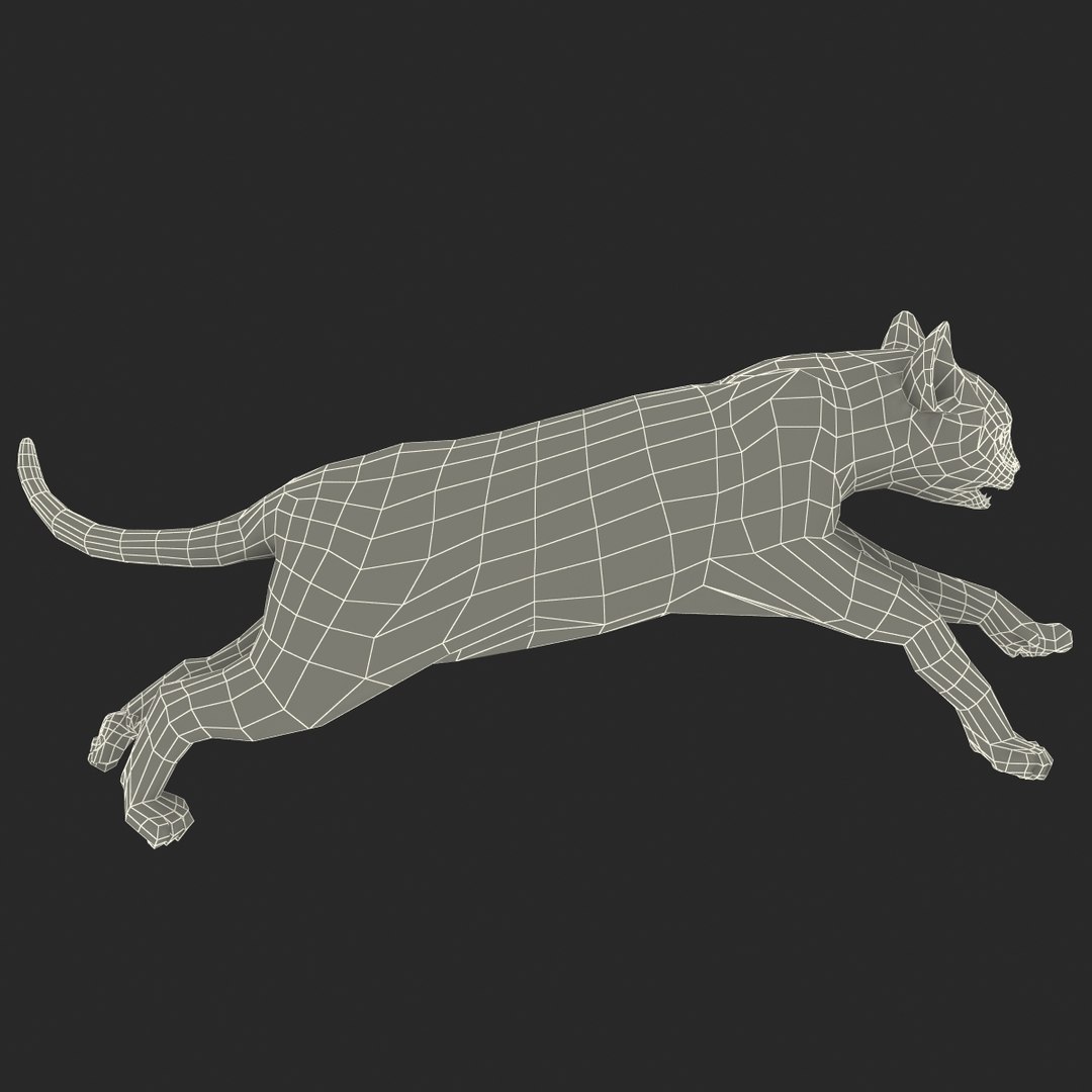 3d c4d cat 3 pose 2