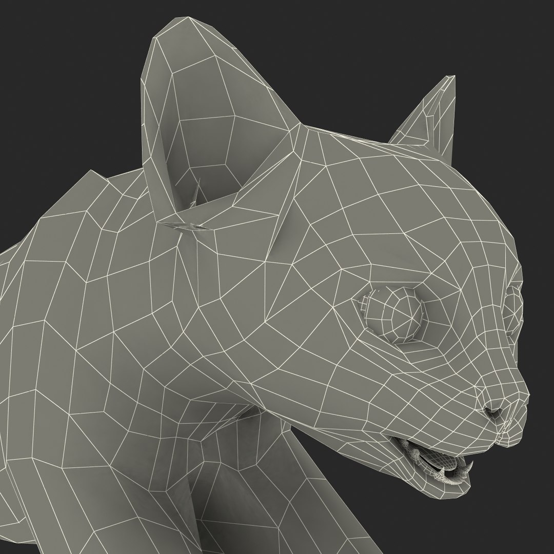 3d c4d cat 3 pose 2
