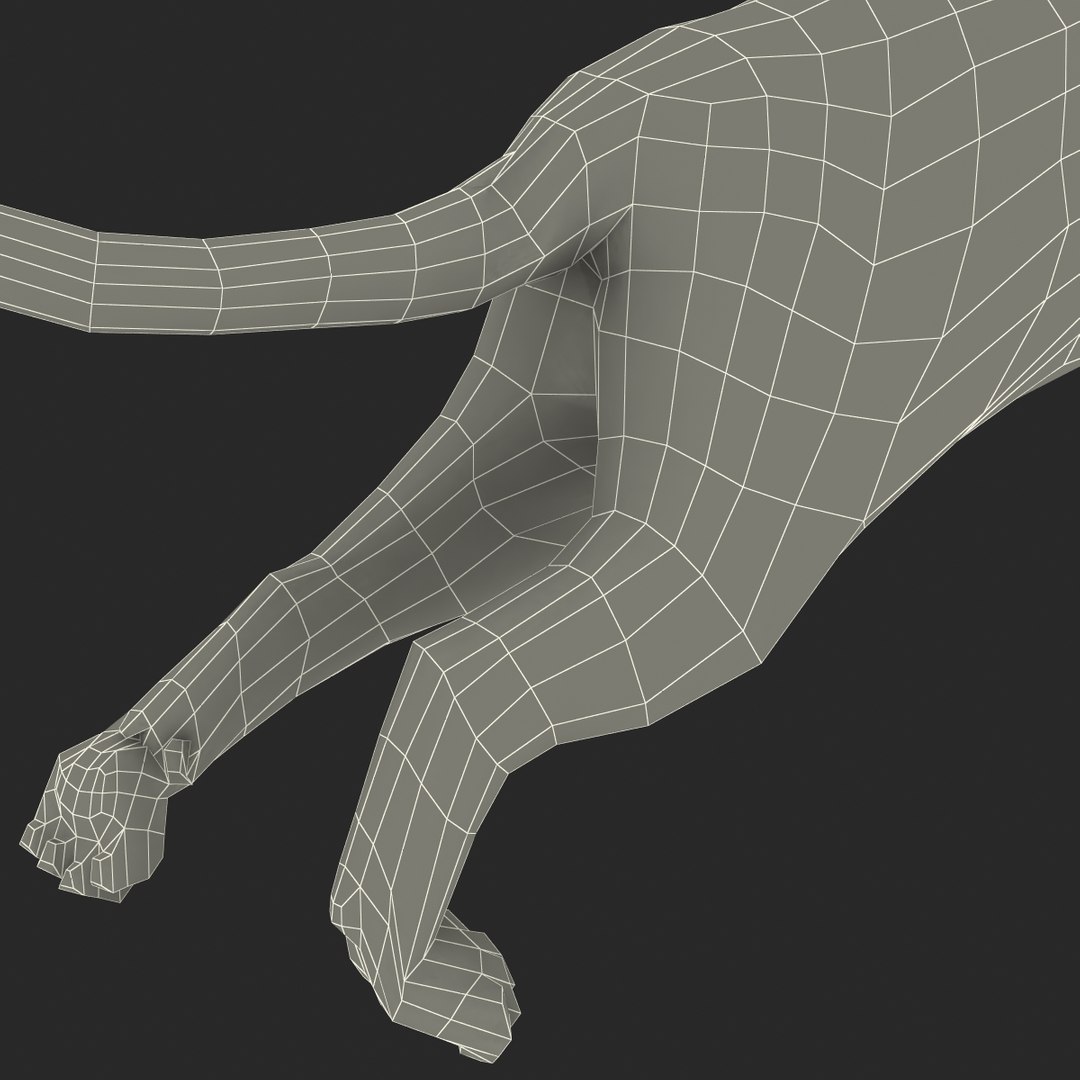 3d c4d cat 3 pose 2